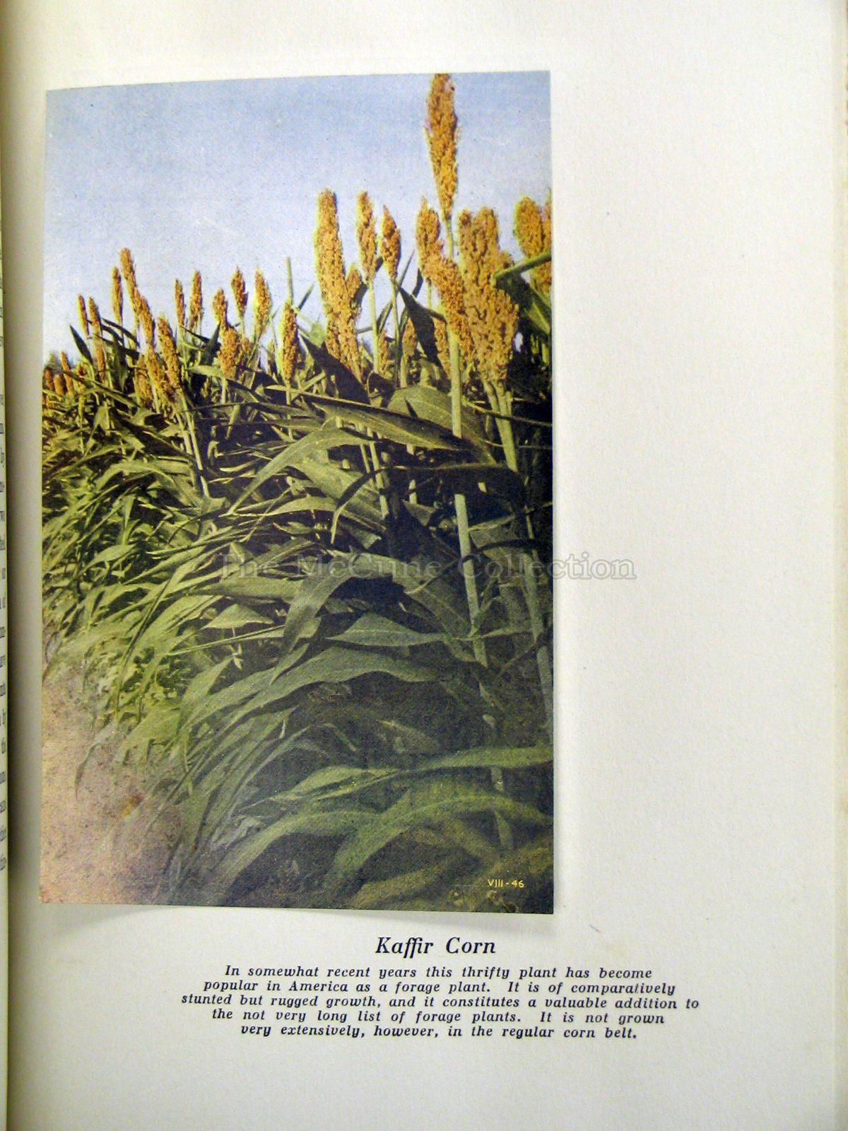 Luther Burbank. His Methods and Discoveries. Vol. VIII. • The McCune ...